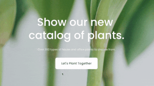 20+ Squarespace Button Styles: A Toolkit for Design Mastery