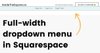 10 Most Useful Squarespace Drop Down Menu Styles (2024)