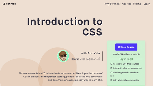 Squarespace Custom Code: The Ultimate Guide (13 Examples)