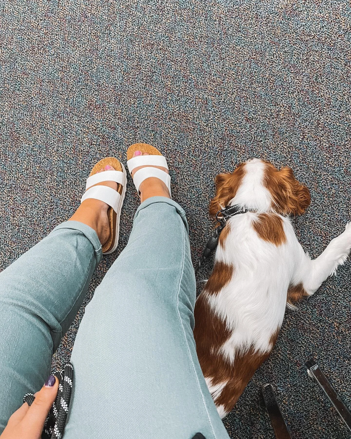 September Top Ten Most Loved — Simply Small Town