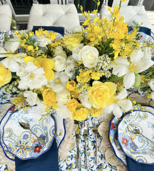 Capri Summer — Estilo & Co