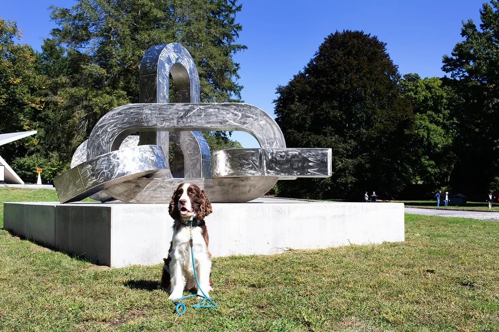 DeCordova with Dogs - Dog Friendly Sculpture Museum — The Willard Gallery