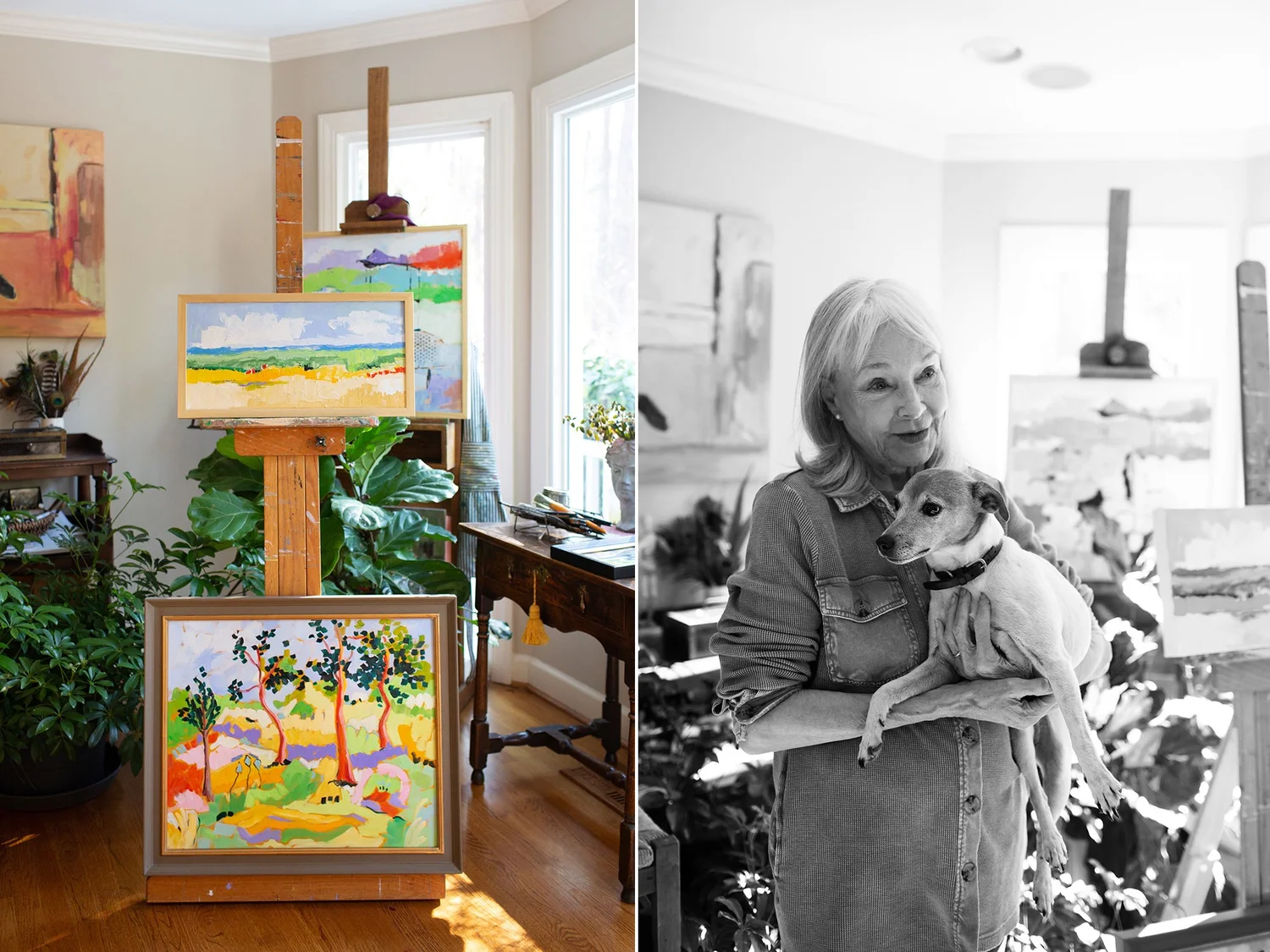 Jessie Mackay Studio Tour — The Willard Gallery