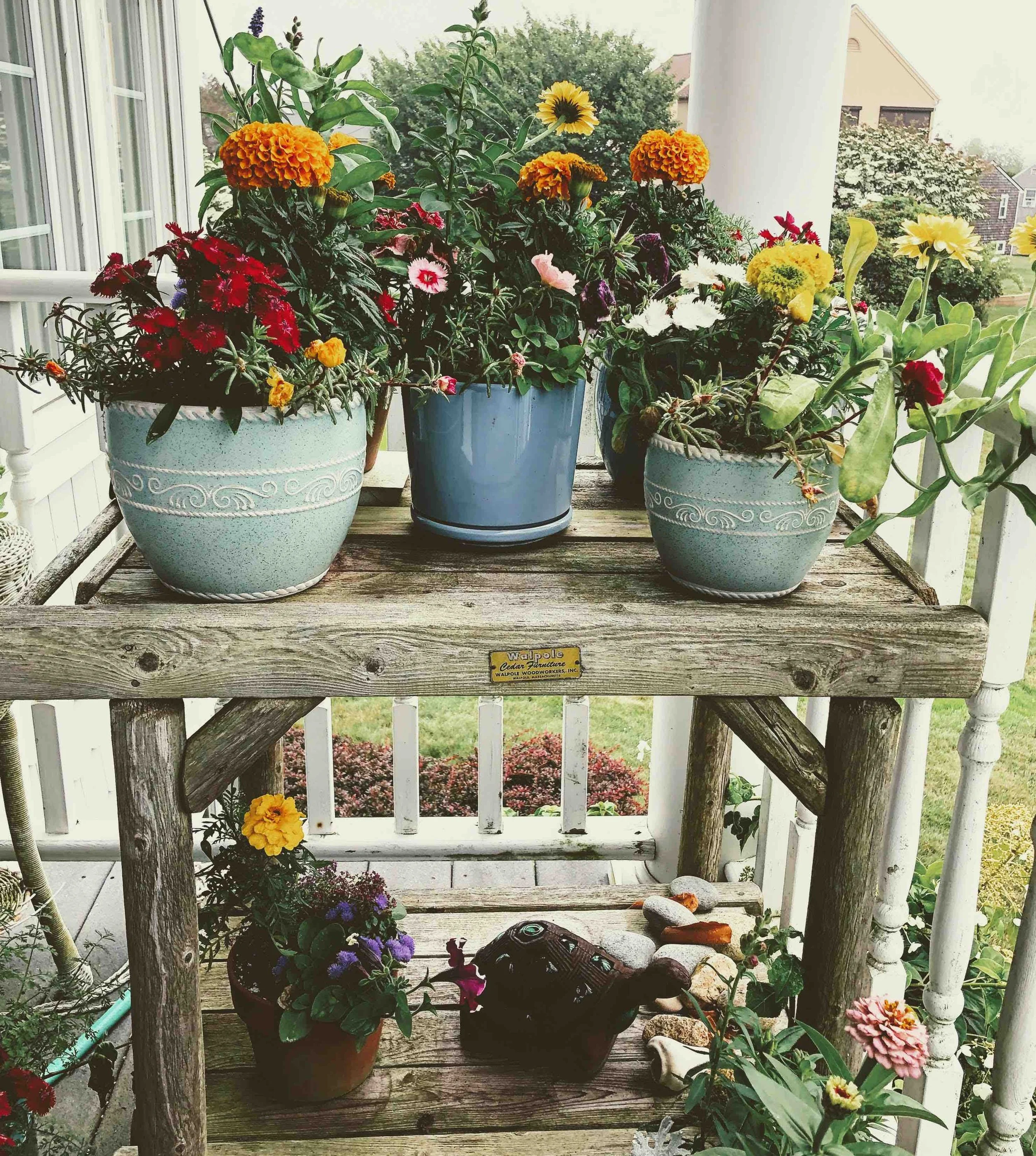 Join Our Team — Native Edible Designs