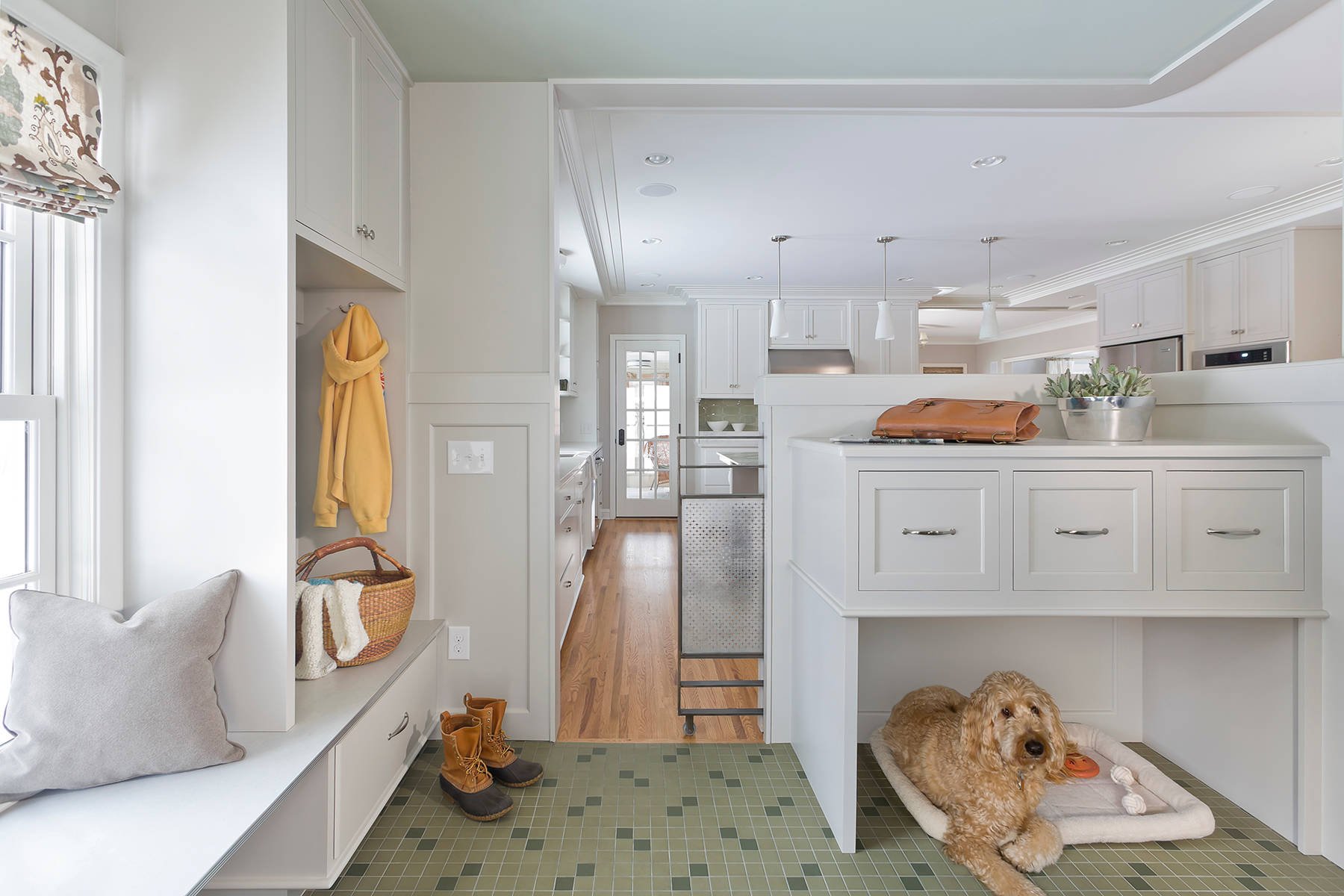 How To Design Stylish & Safe Pet Spaces — The League 🐾 North Fork ...