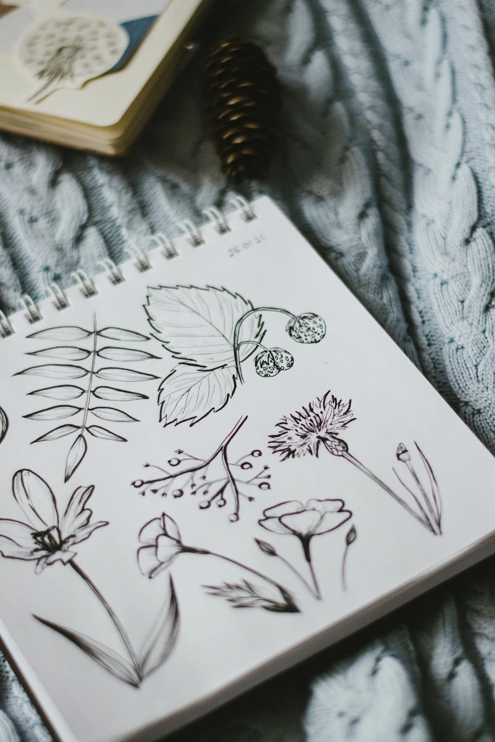 "30 Days to Better Drawing: A Fun Challenge for Beginners!" — By Silvi