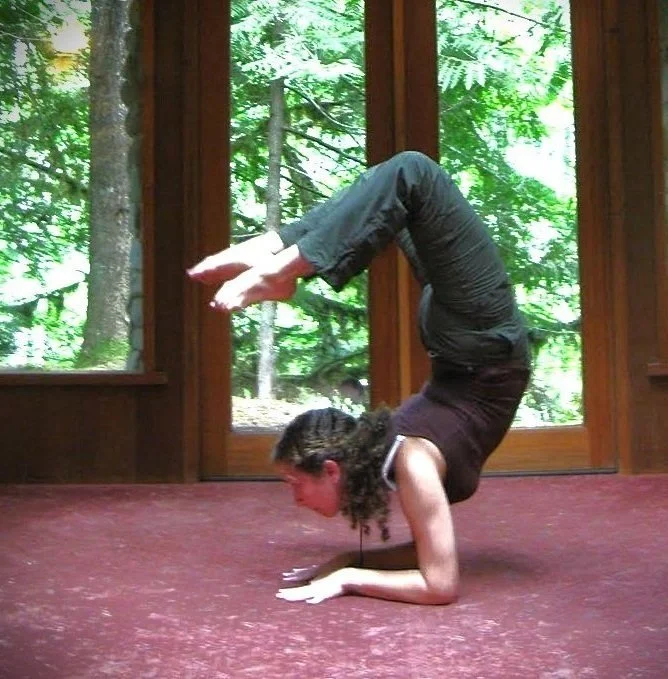 Turn It Upside Down: Inversions Master Class with Sarah Fishman — The ...