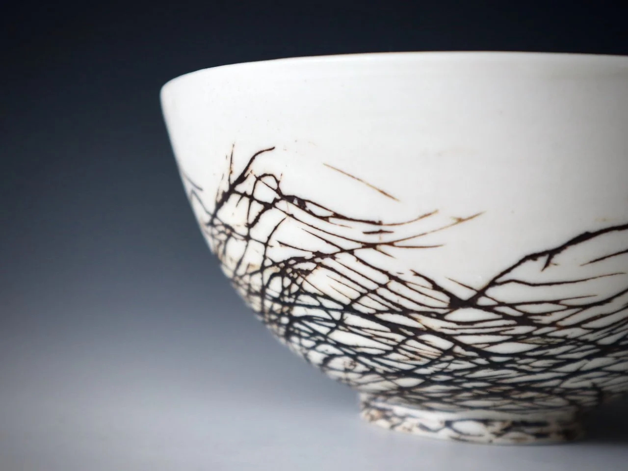 Australian Ceramic artist Shannon Garson