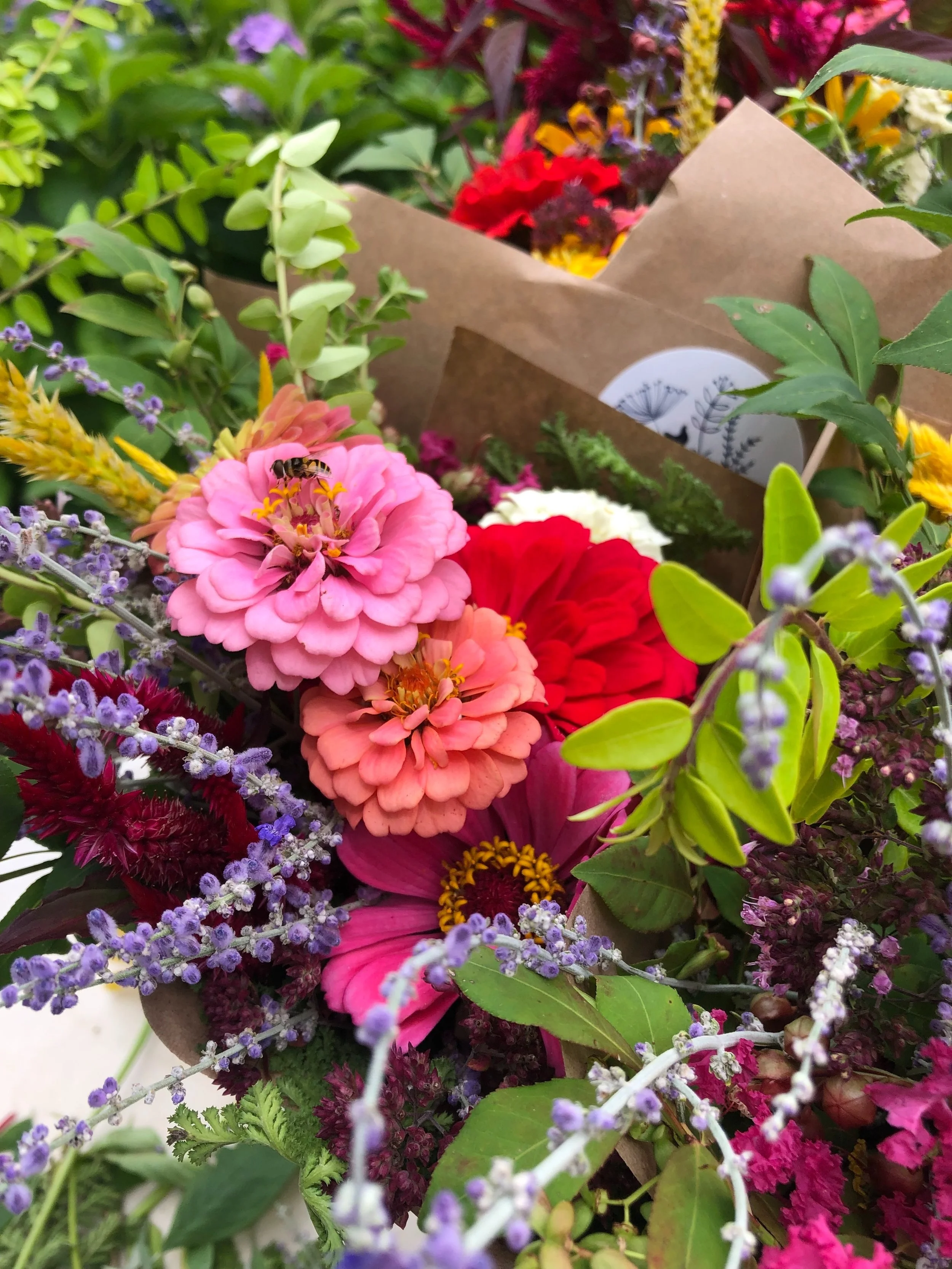 Walnut Hill Flower Farm