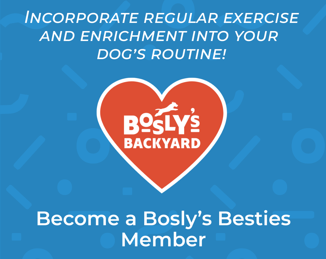 Book — Bosly's Backyard