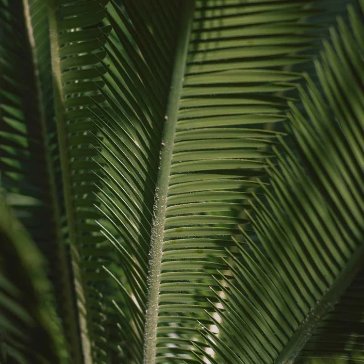 Our Team | Meet Our Experts Today — Risk Collective