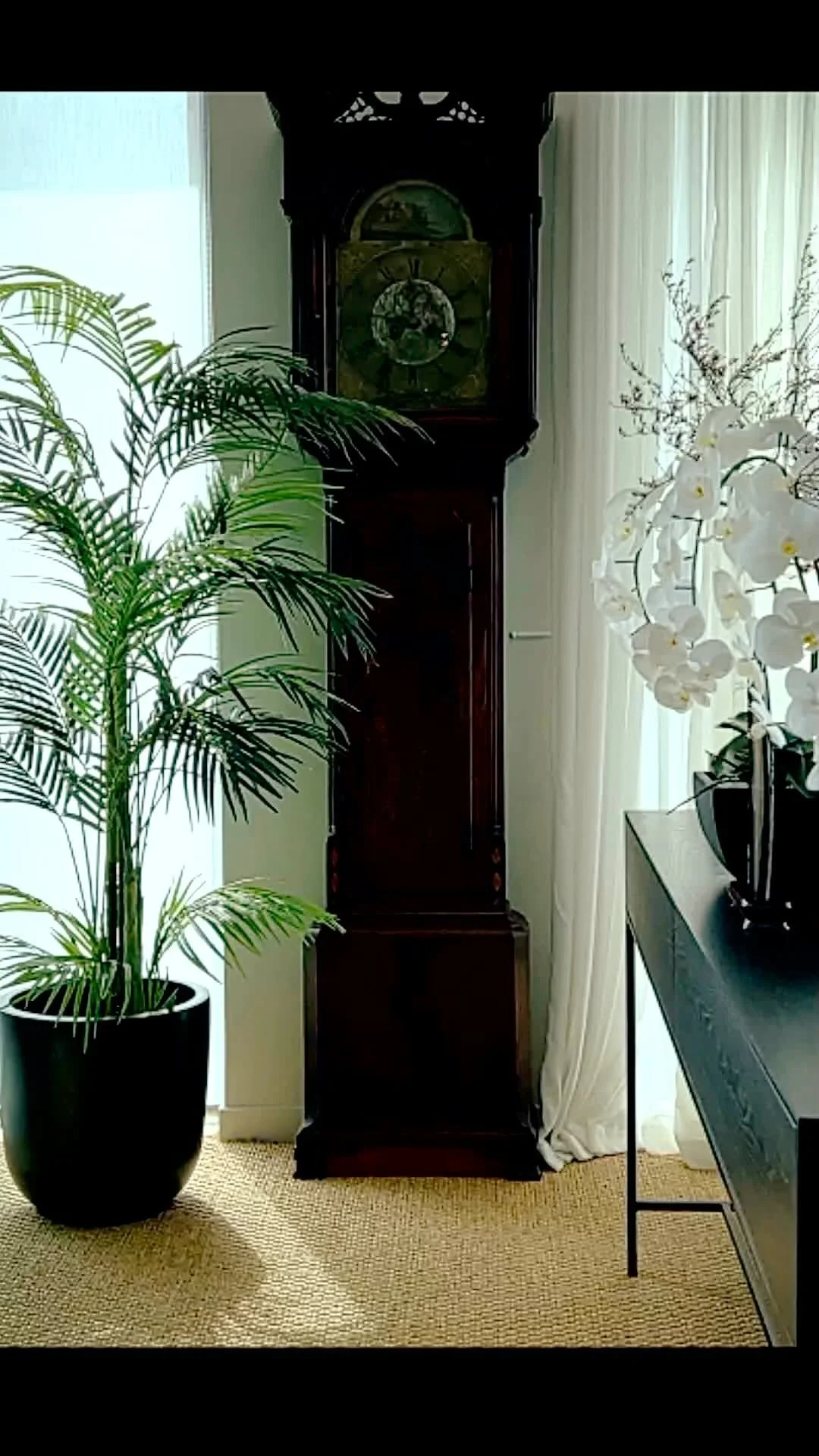 Official Shanly Simpson Designs: Auckland Interior Designer