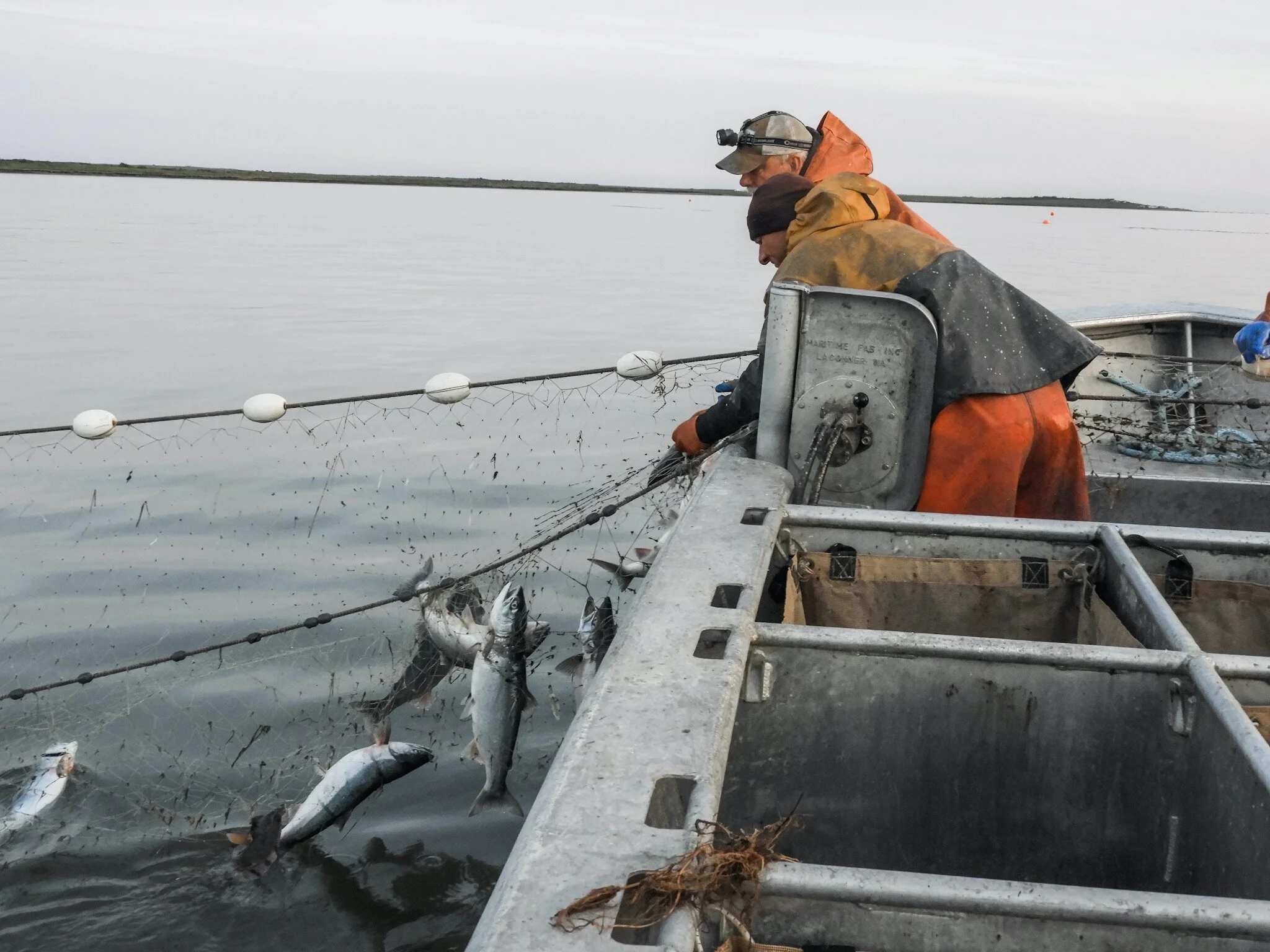 FAQs — Salmon Shop