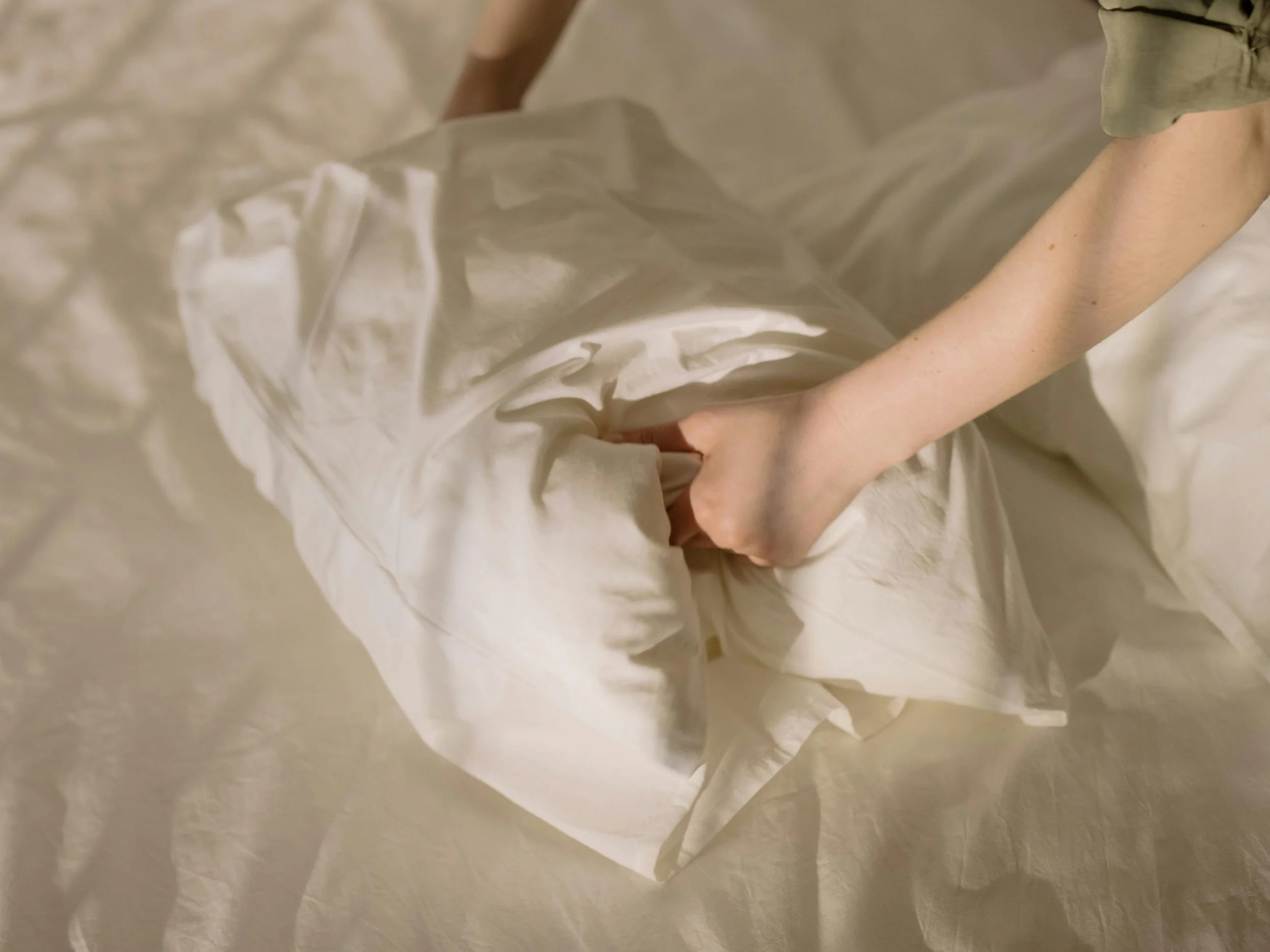 How to Get Rid Off the Bedbugs: Effective Removal Methods — HomeRun Blog How to Get Rid Off the Bedbugs: Effective Removal Methods — HomeRun Blog