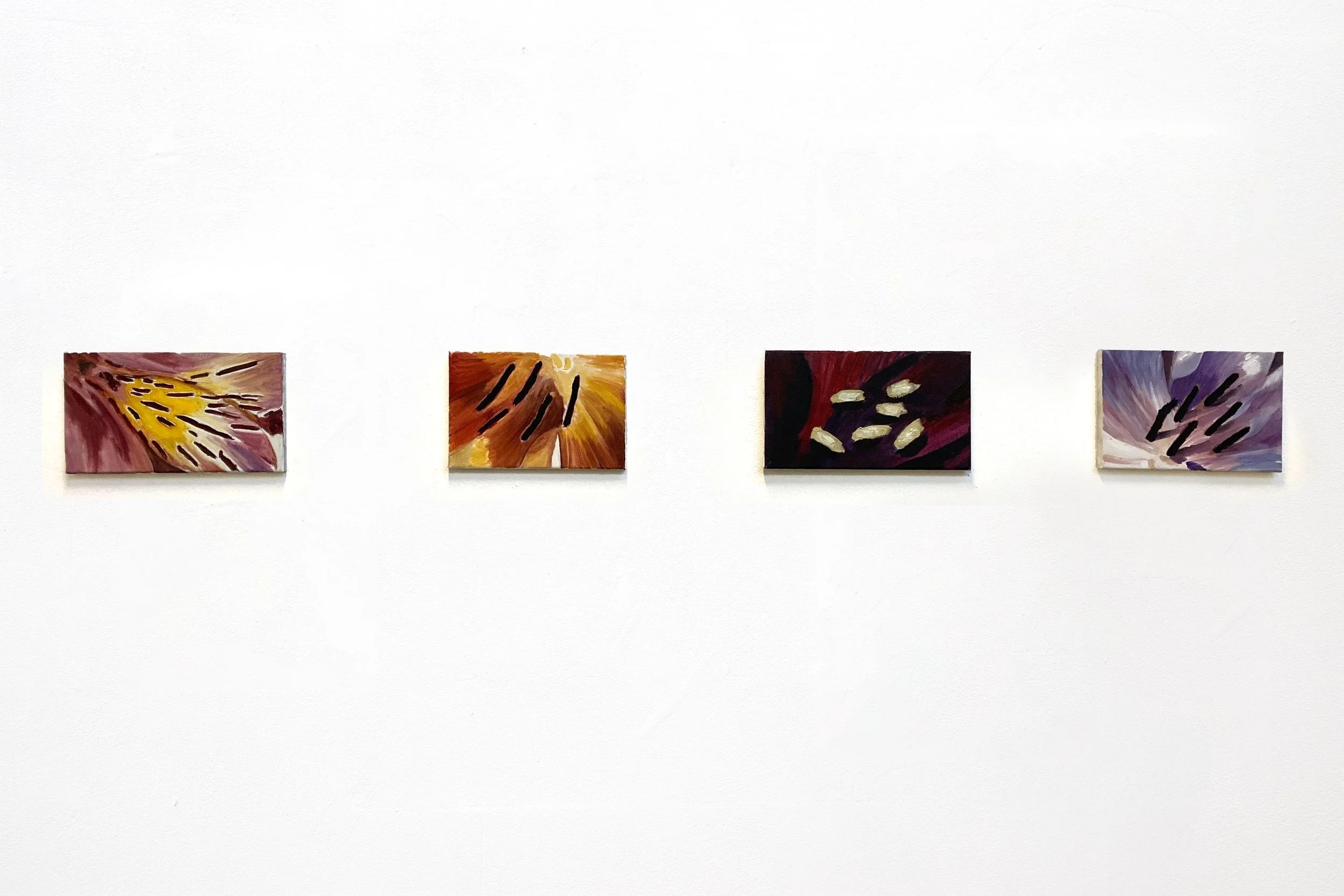 Jan Timmers | Artist