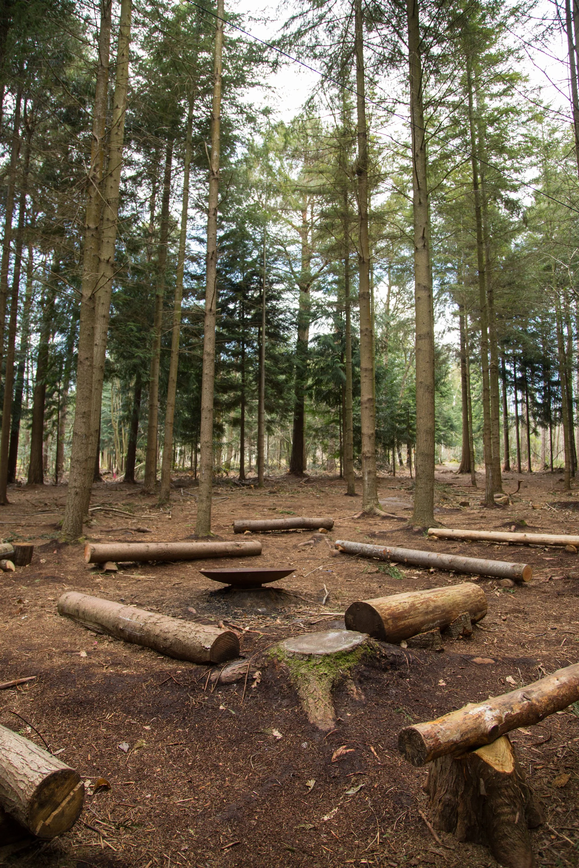 Woodland Spaces — Wilderness Wood