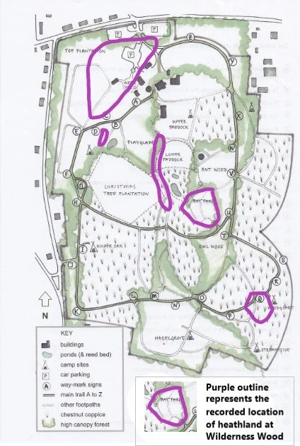 Where’s Heather? — Wilderness Wood