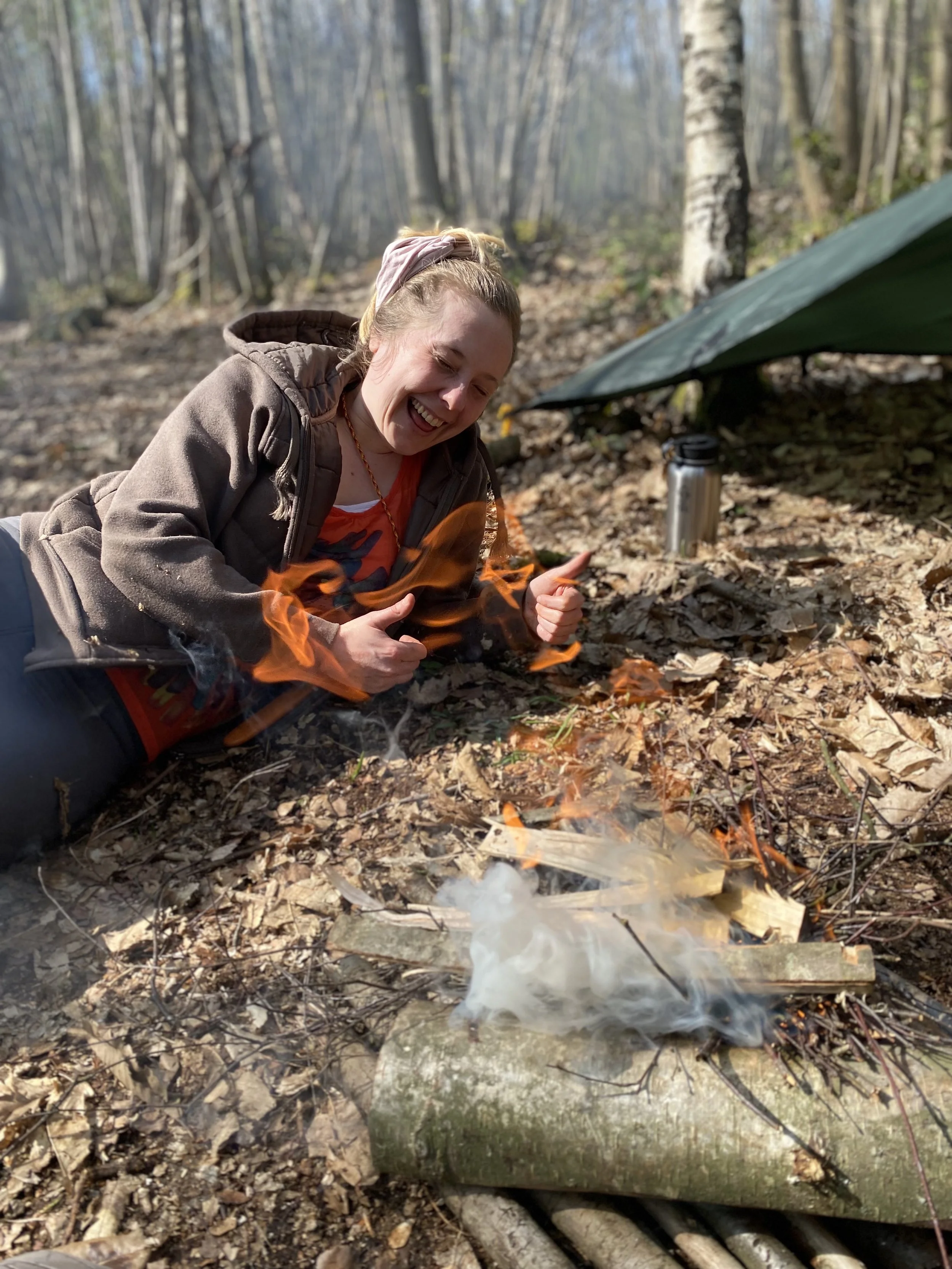What's On — Wilderness Wood