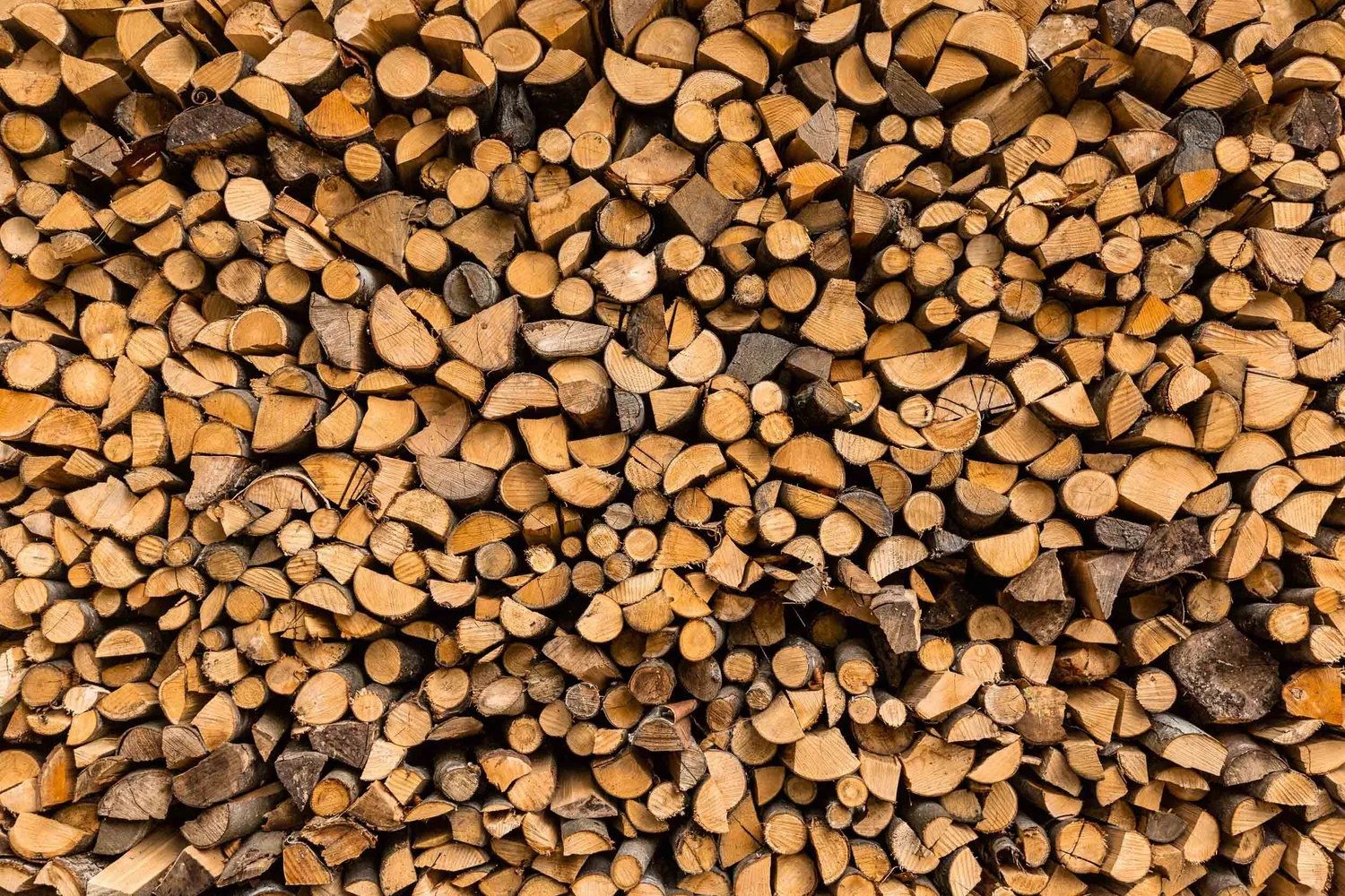Wilderness Wood