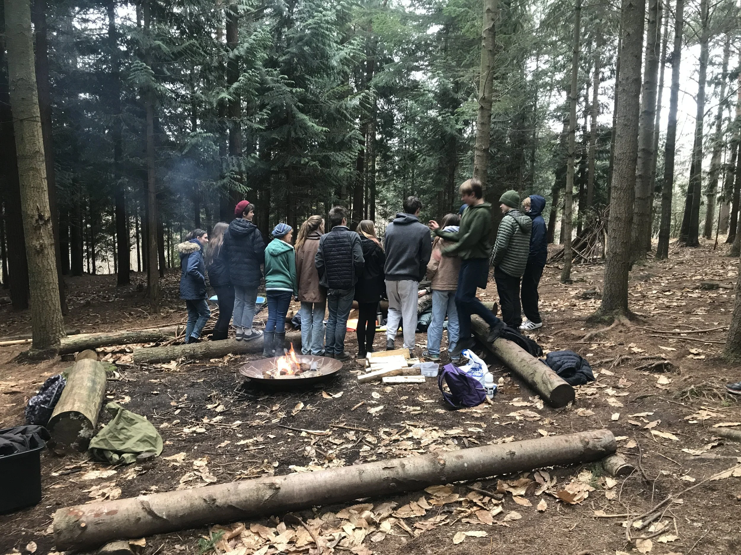 The Conservation Value of Wilderness Wood — Wilderness Wood