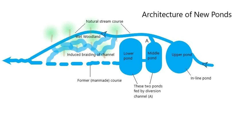 The Mystery of The Penstock Pond, — Wilderness Wood