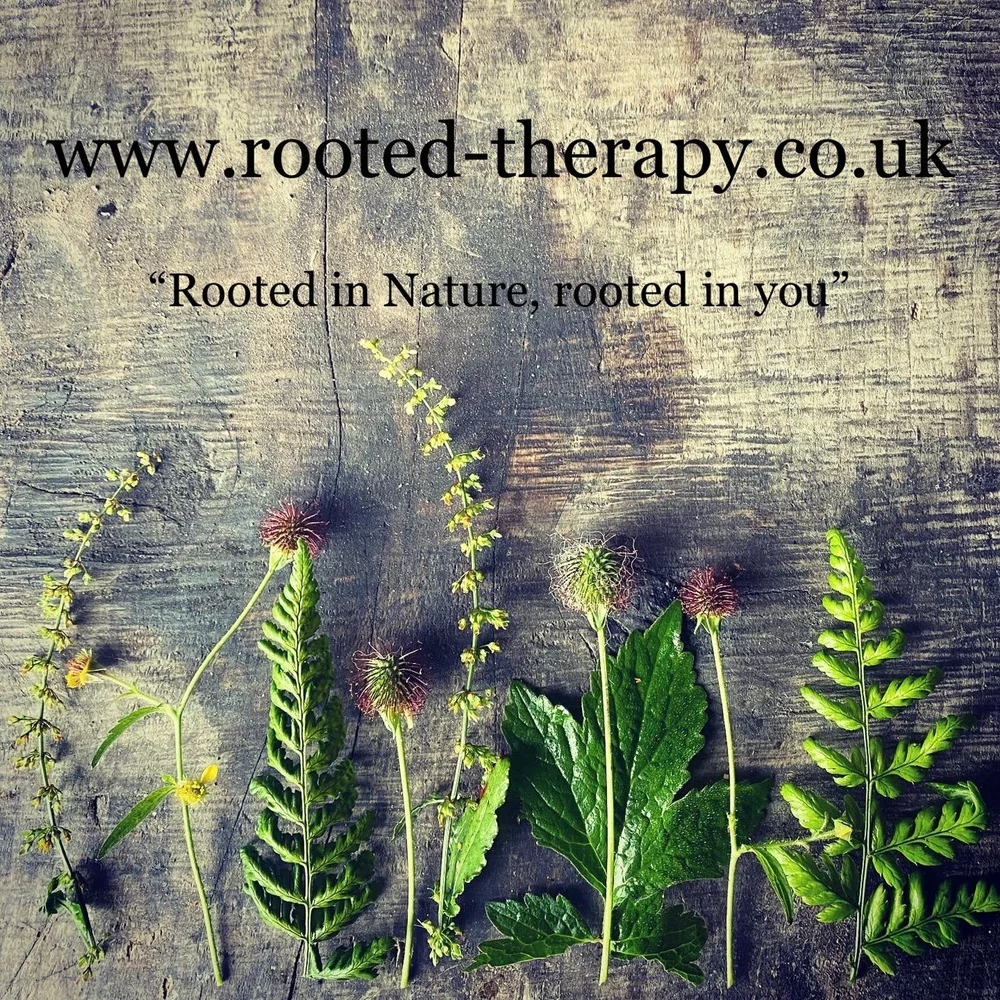 Woodland Therapy — Wilderness Wood