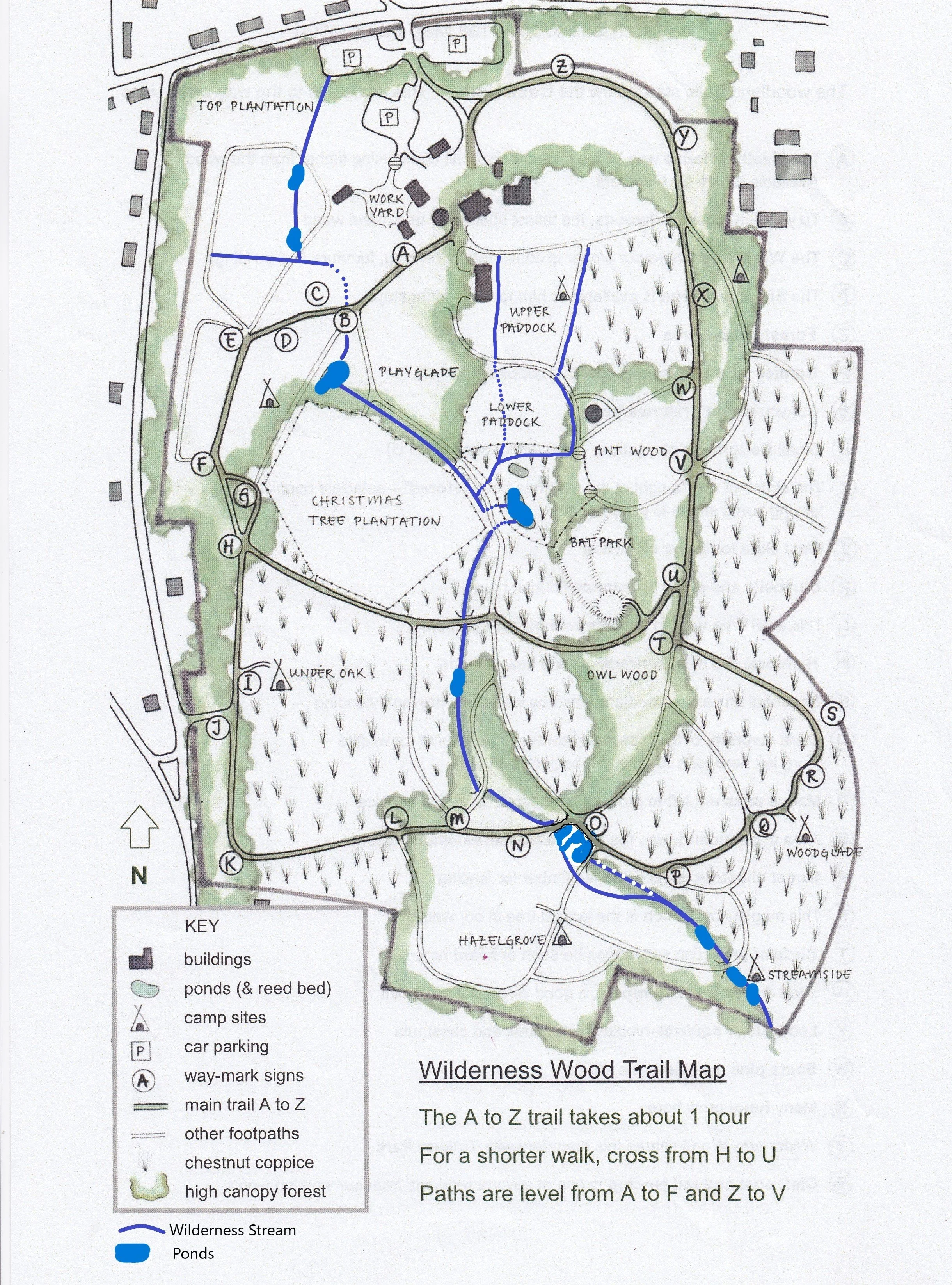 Water at Bat Park and the New Ponds — Wilderness Wood