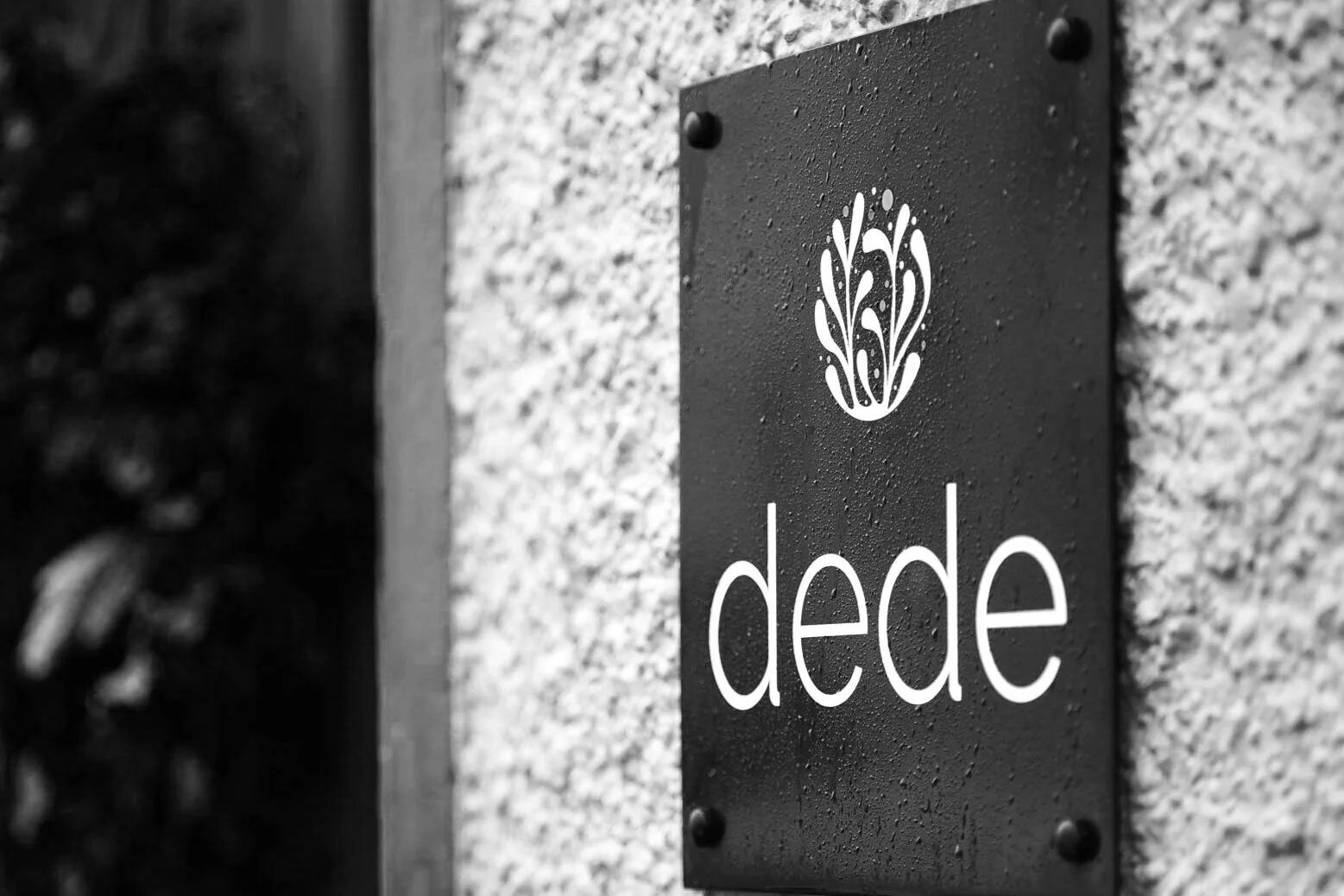 Menus — Dede at the Customs House