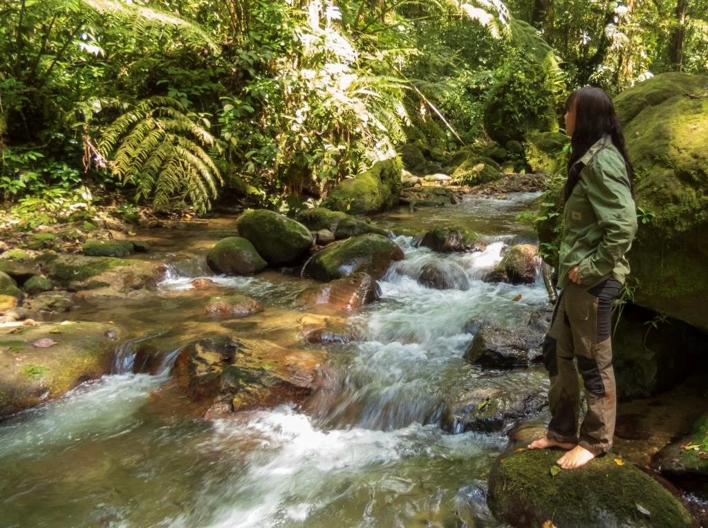Team members — Sumatran Elephant Project