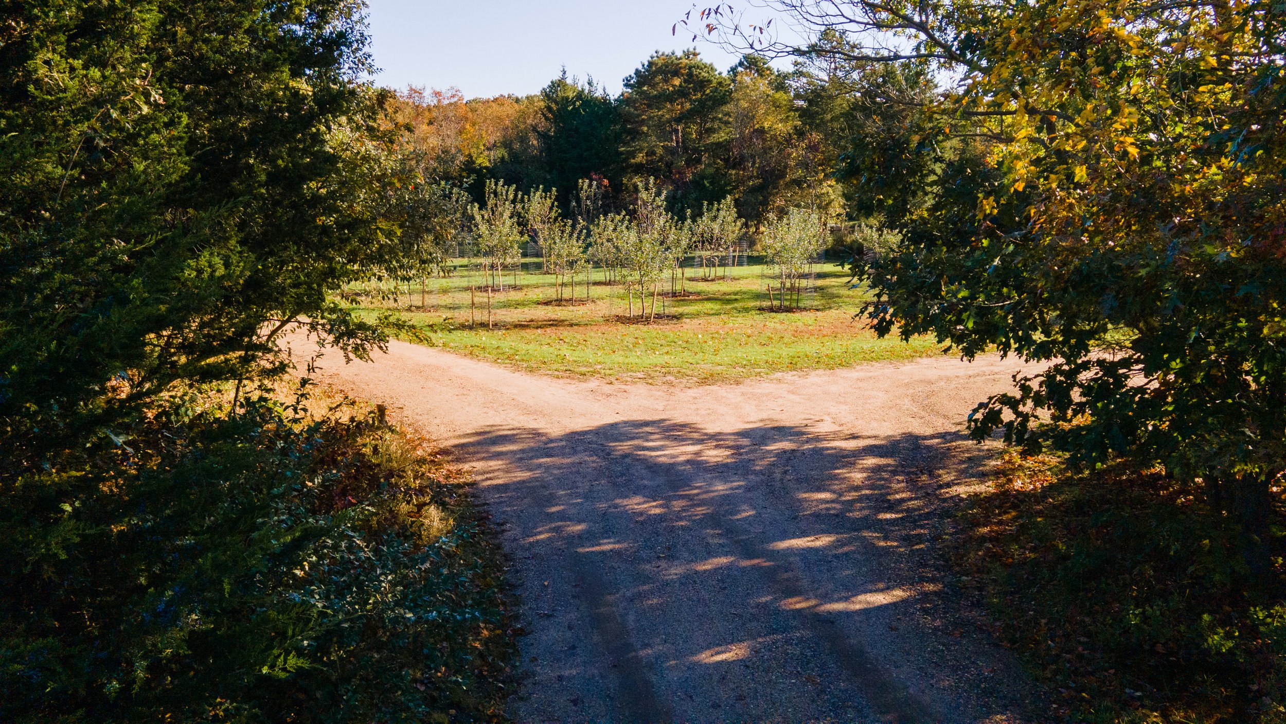 Photo Gallery — The Farm On Main