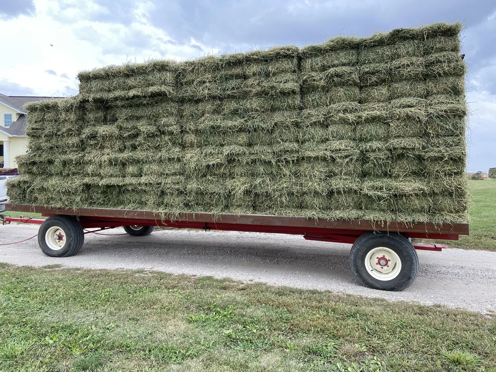 Gallagher Farms