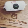 Beef — Gallagher Farms