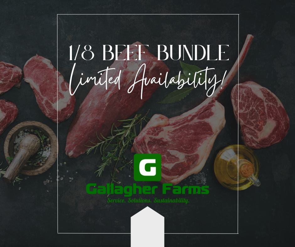 Beef — Gallagher Farms