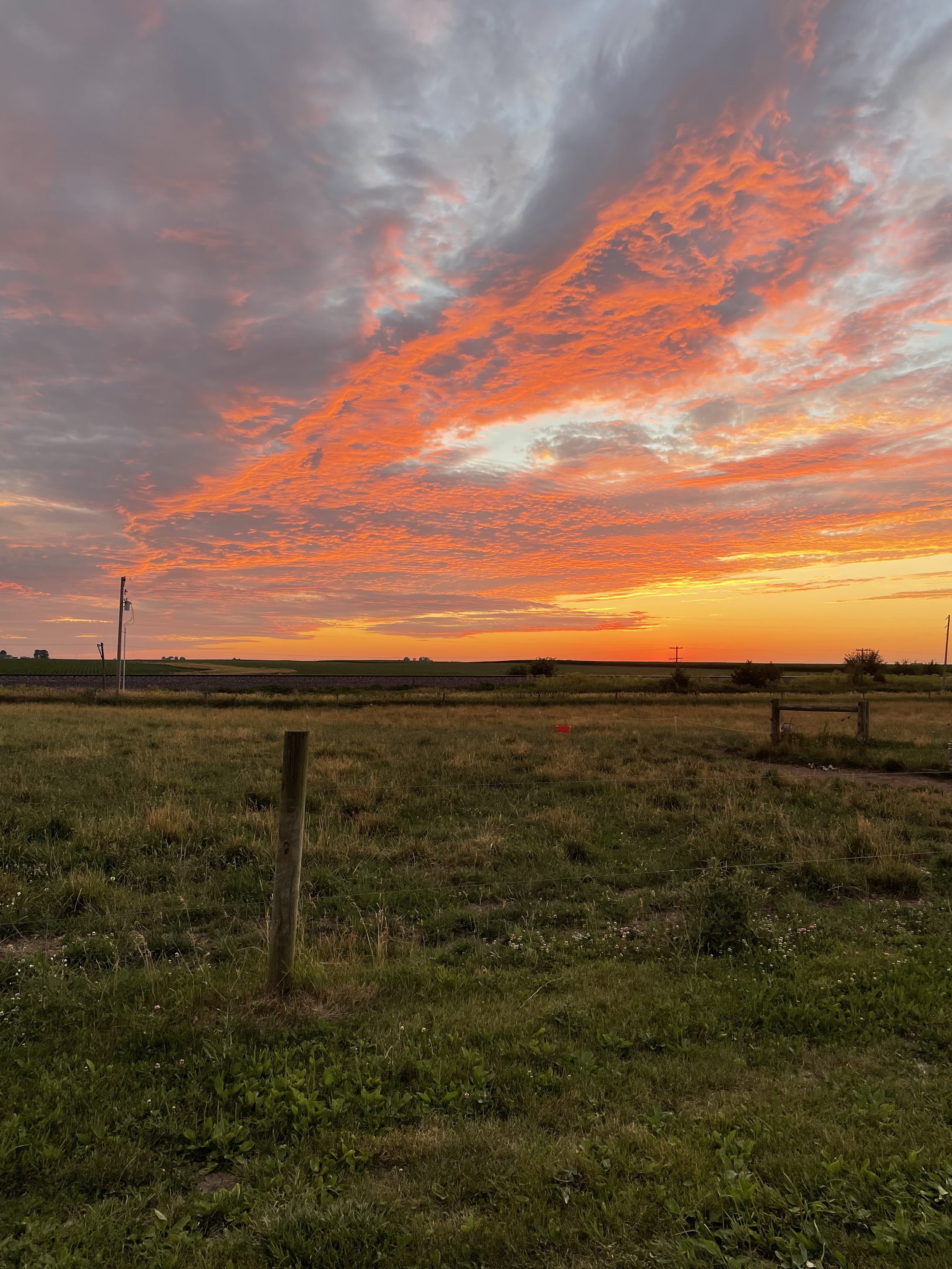 Gallagher Farms