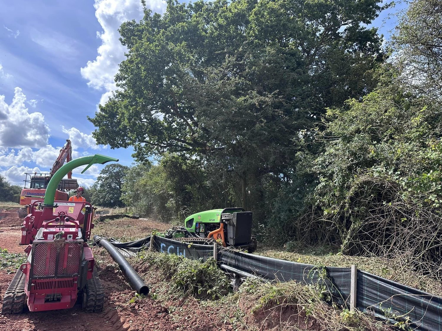Professional Tree Surgeon Services in Worcestershire | Jack Cotterill ...