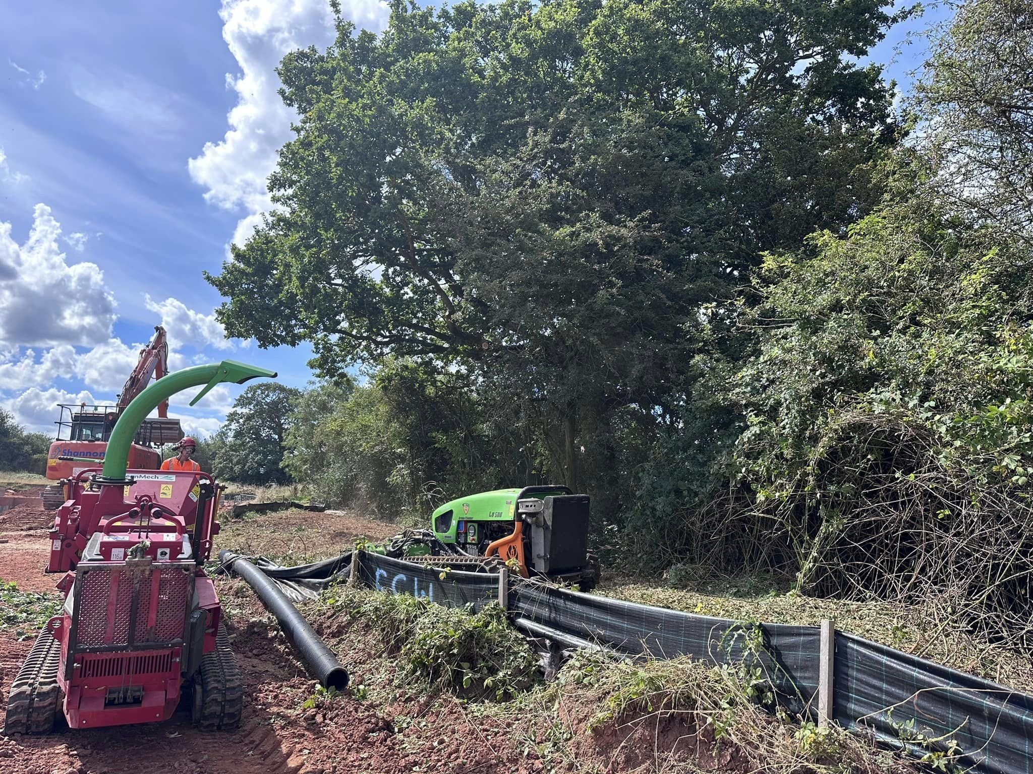 Professional Tree Surgeon Services in Worcestershire | Jack Cotterill ...