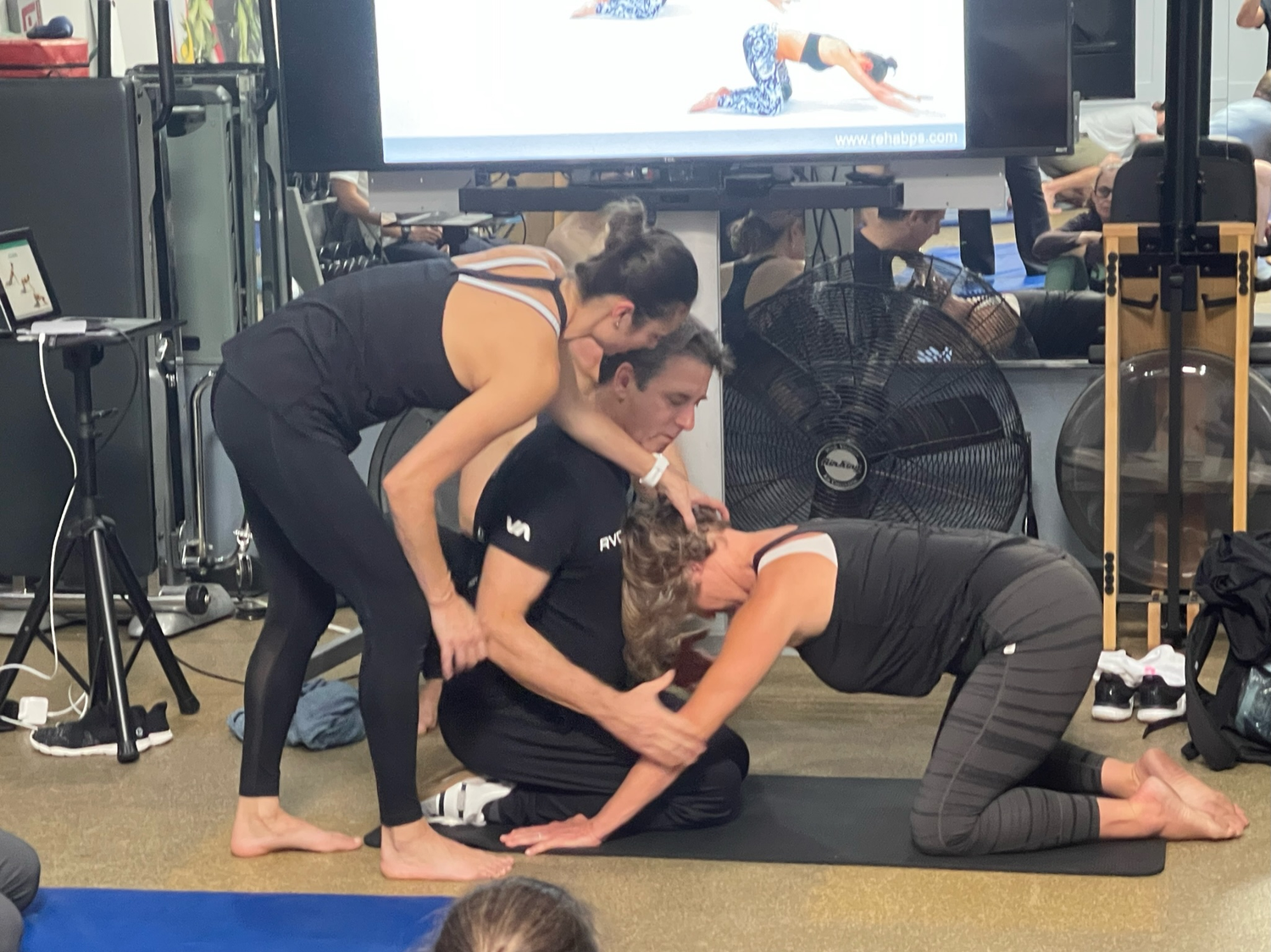 DNS Tutorials Library — Team Rintala Movement Designs