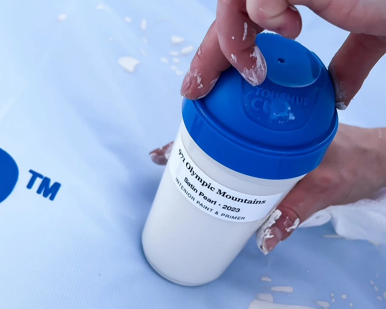 Paint Decanting | Tartan Organizing & Touch Up Cup — Tartan ...