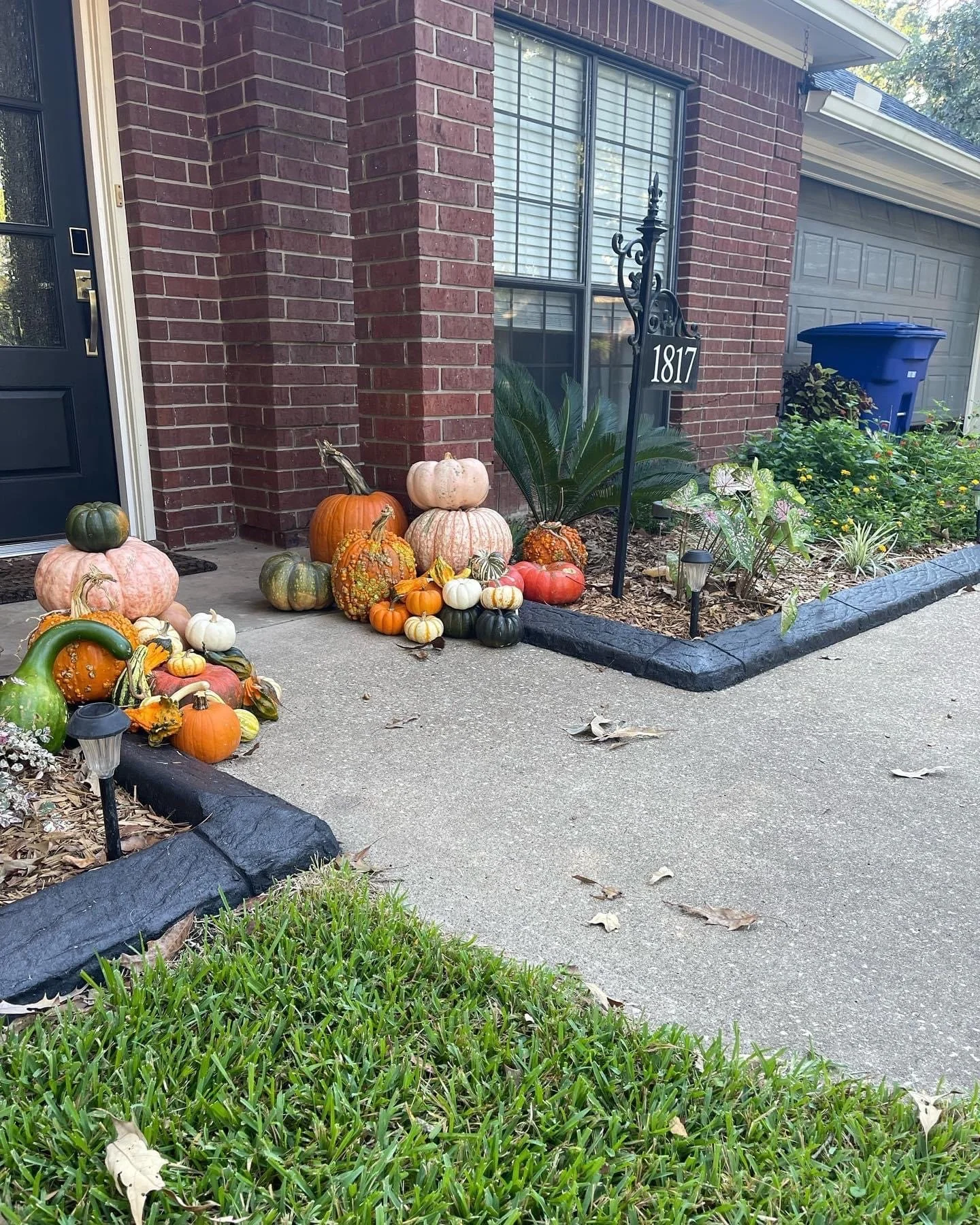 Concrete Landscape Curbs and Borders