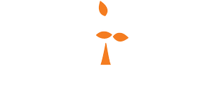 eXp University — eXp Family Tree