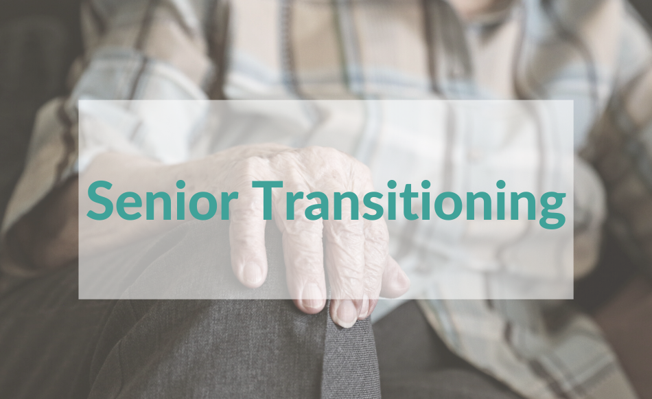 Katey Bean & Company