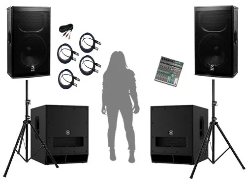 Live Sound Large P.A. with Monitors, No Sub 16 Channels — Doo Wop Shop