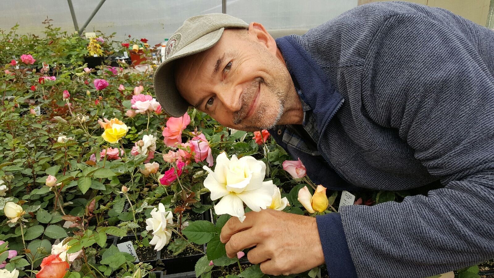 Nursery Tour — Select Roses