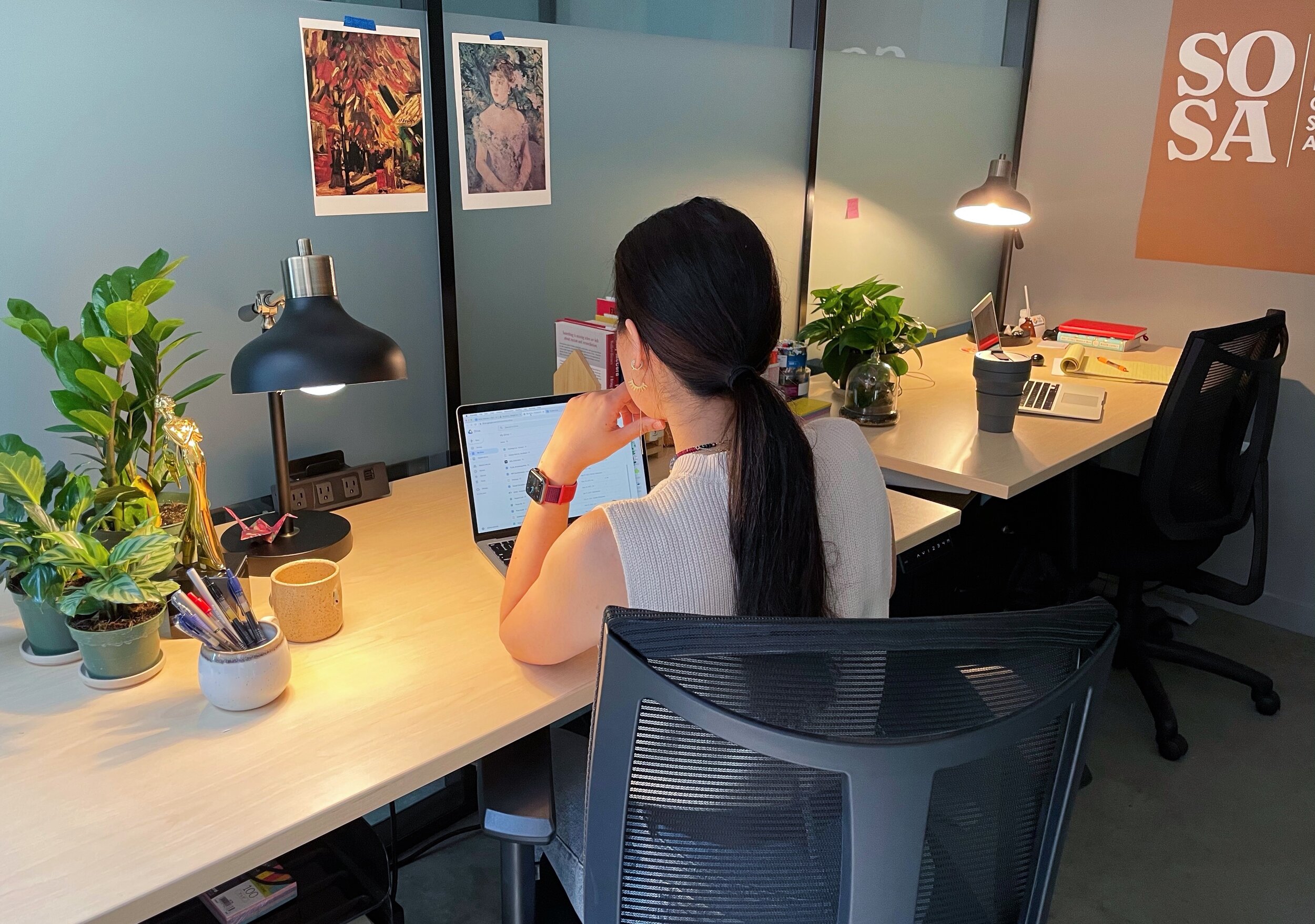 SOSA — Safe from Online Sex Abuse