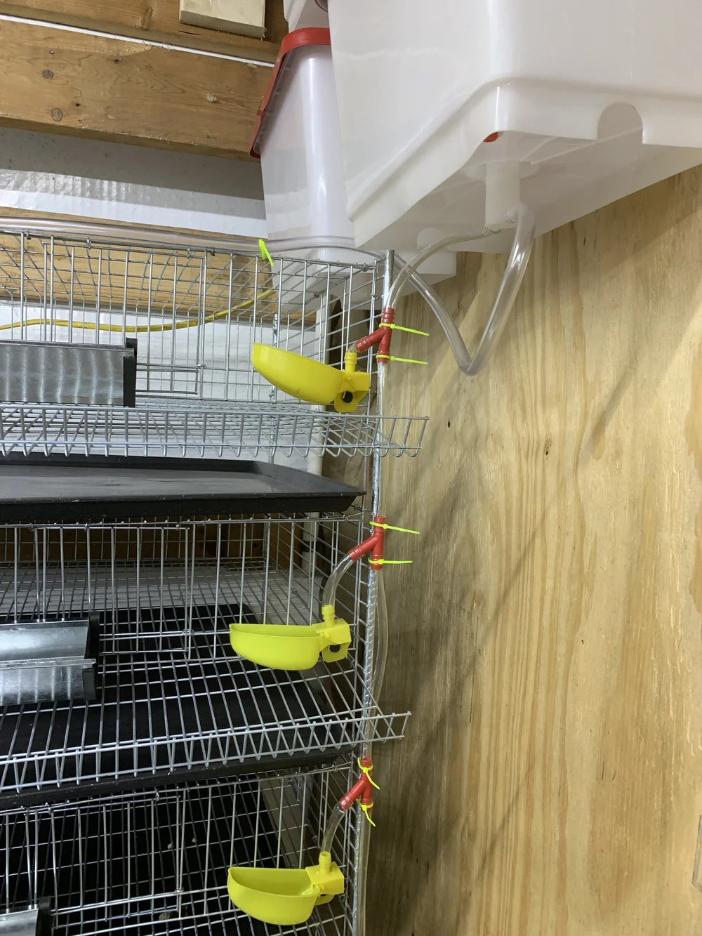 No Waste Quail Feeder — Thieving Otter Farm