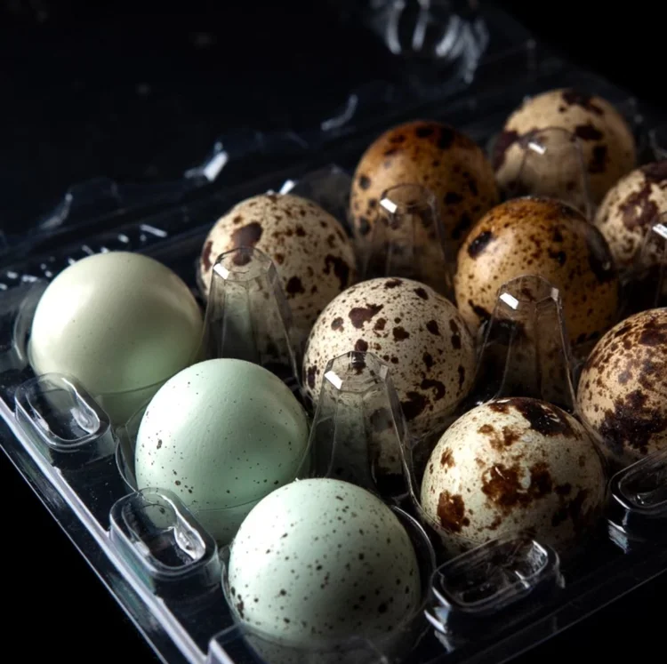 Super Secret Surprise Selection — Thieving Otter Farm