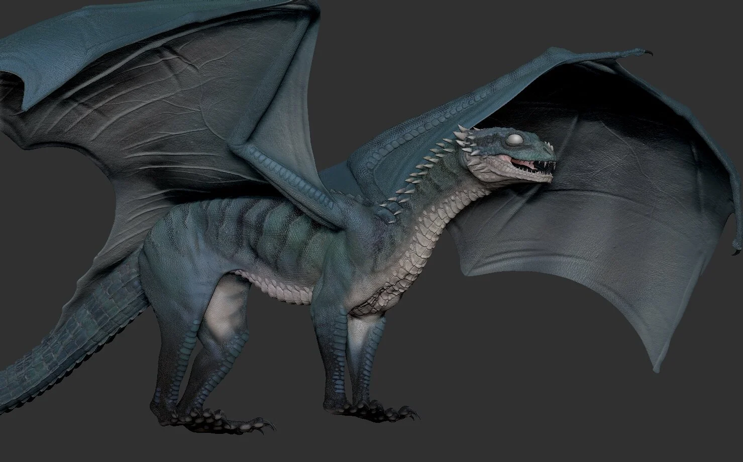 Dragon Muscle Anatomy