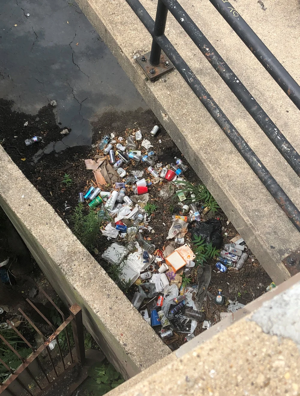 Cleanup Club Chicago