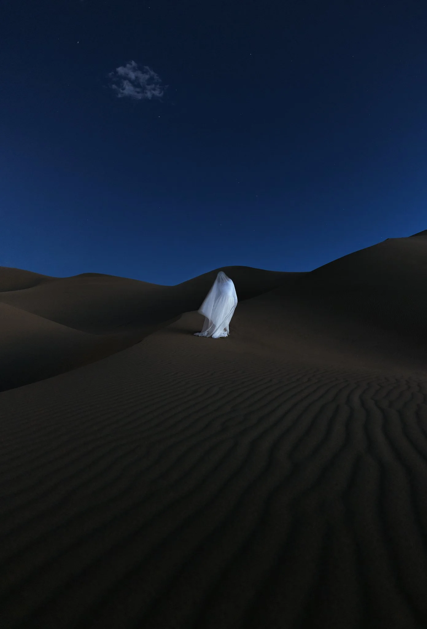 phantoms of the wild — Stasia Schmidt