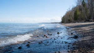 The Thumb — Mi Roadtrip